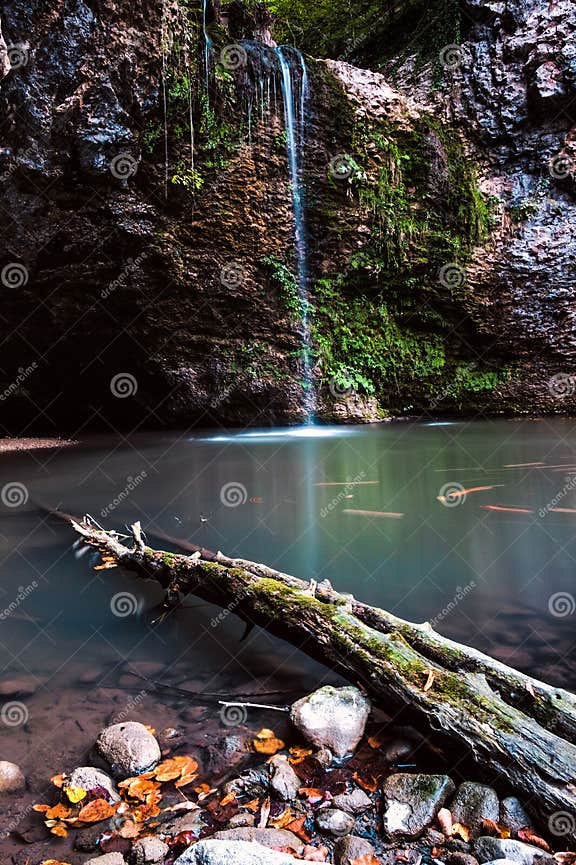 Waterfall with Dead Log in the Foreground Stock Image - Image of ...