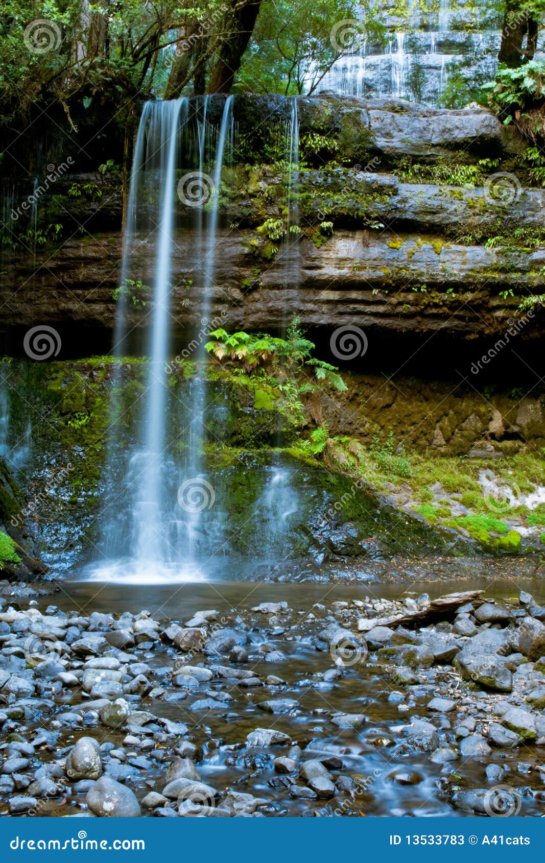 Waterfall in deep forest stock image. Image of australia - 13533783