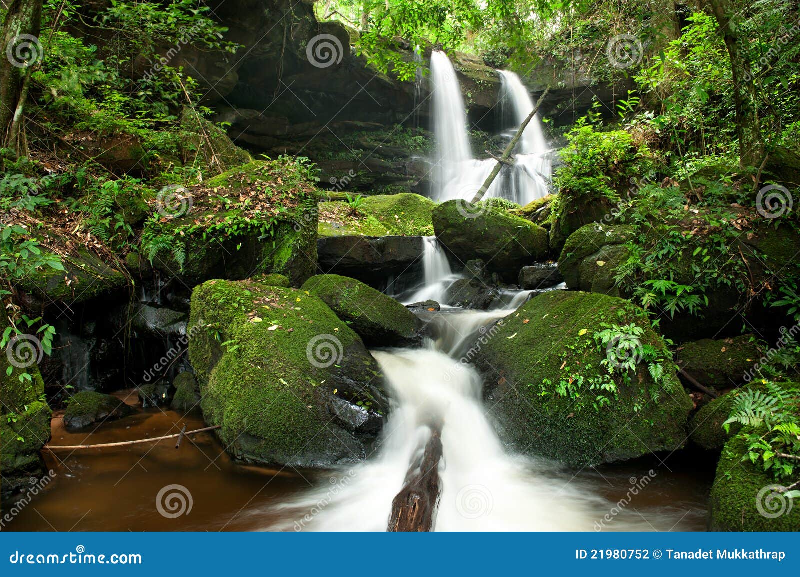 Waterfall in deep forest stock photo. Image of green - 21980752