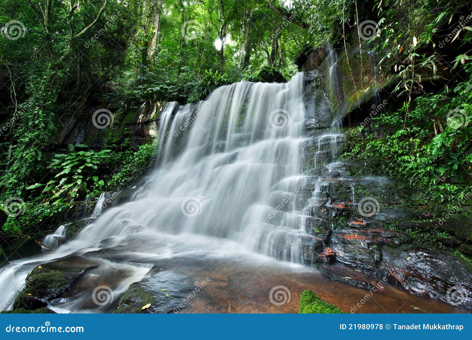 Waterfall in deep forest stock photo. Image of flow, fall - 21980978