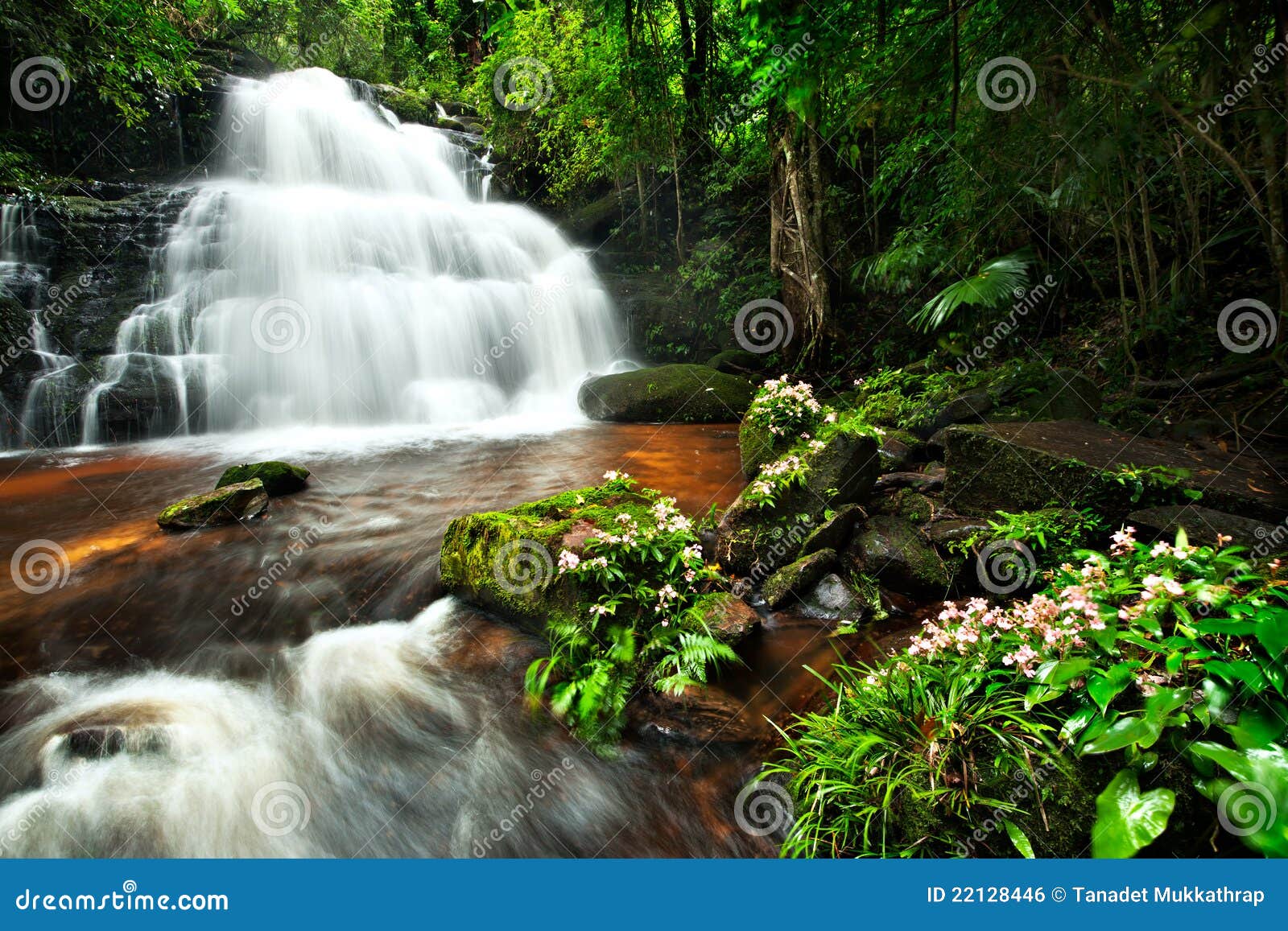 Waterfall in deep forest stock photo. Image of summer - 22128446