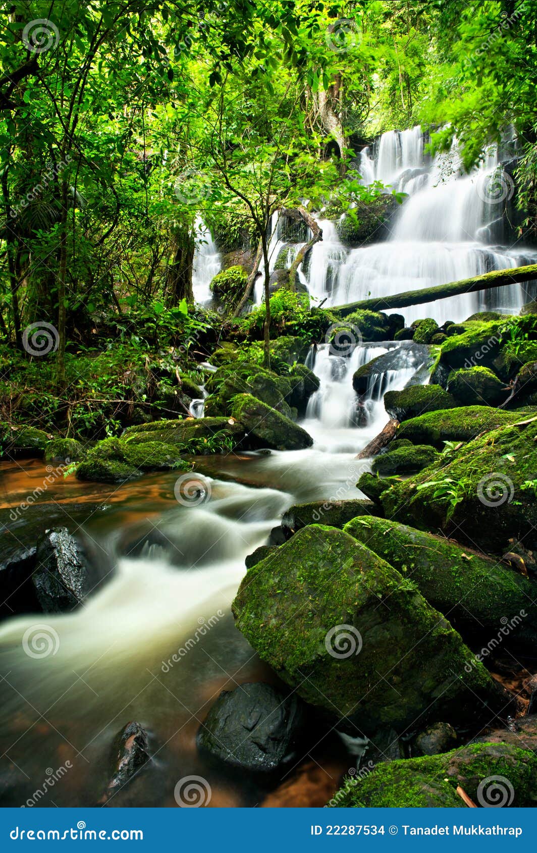 Waterfall in deep forest stock photo. Image of natural - 22287534