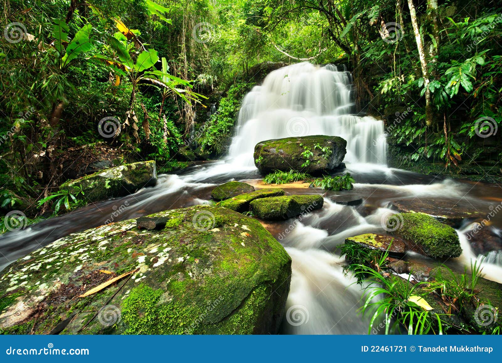 Waterfall in deep forest stock image. Image of motion - 22461721