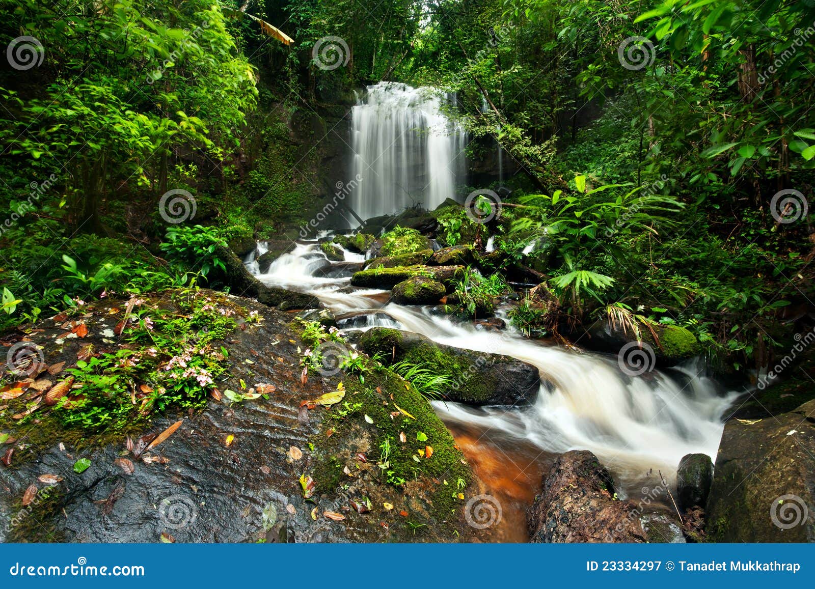 Waterfall in deep forest stock image. Image of travel - 23334297