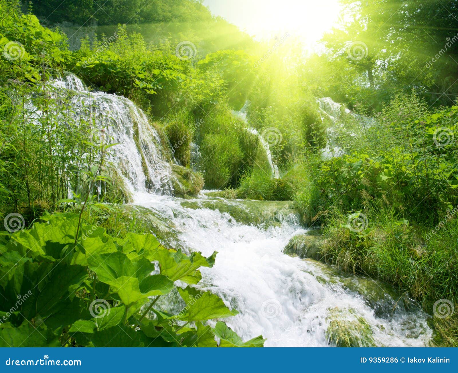 Waterfall in deep forest stock photo. Image of beautiful - 9359286