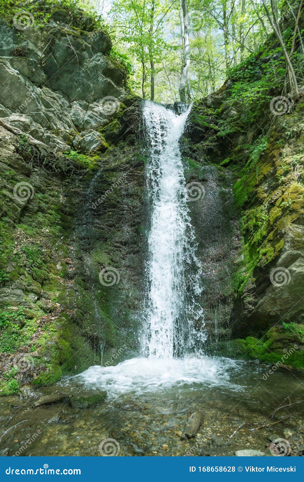 Waterfall in deep forest stock photo. Image of falls - 168658628