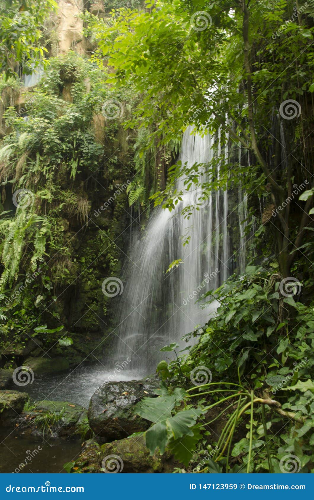 Waterfall in deep forest stock image. Image of leaves - 147123959