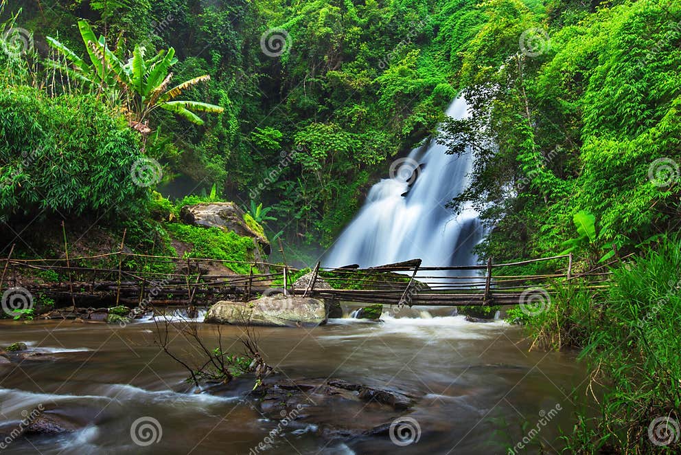 Waterfall in the Deep Forest Stock Image - Image of flowing, beautiful ...