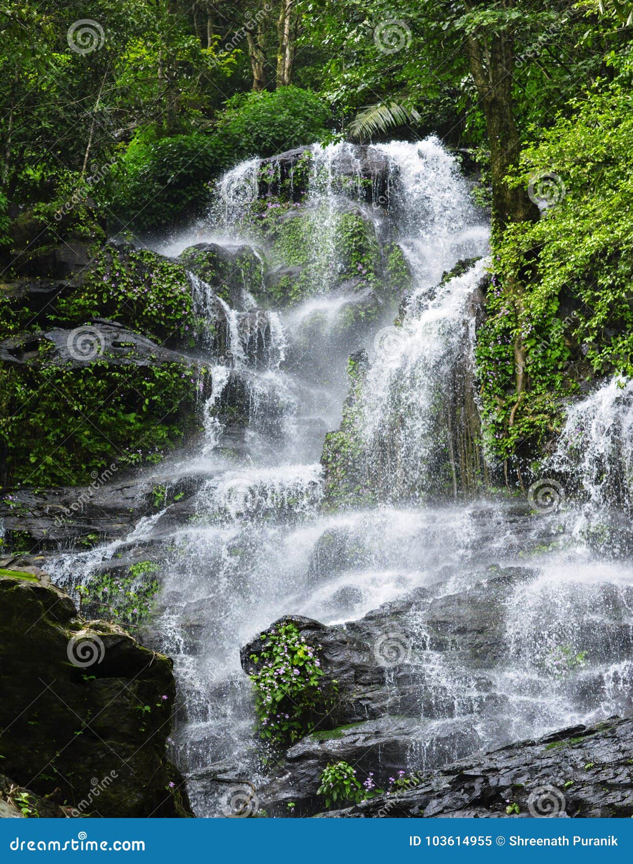 Waterfall in deep forest stock image. Image of extreme - 103614955