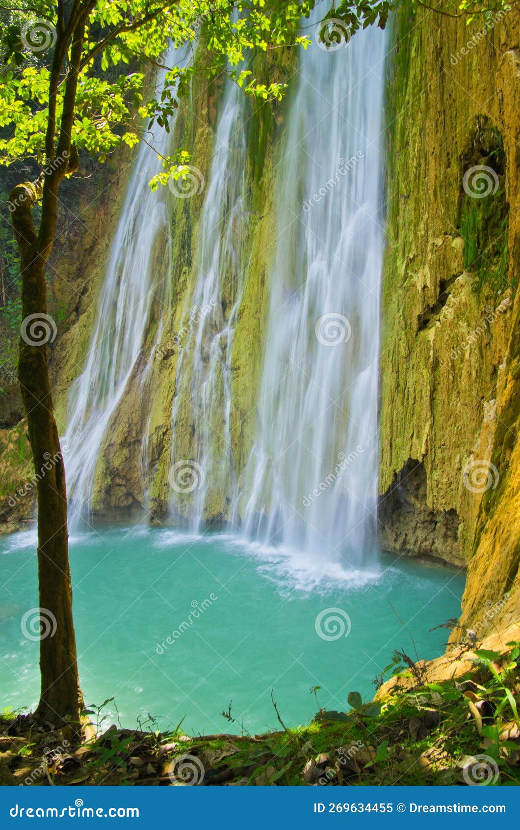 Waterfall stock image. Image of forest, cool, clean - 269634455