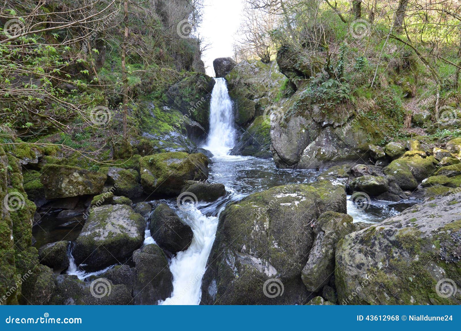 Waterfall, Devils Glen, Wicklow Ireland Stock Photo - Image of stream, ireland: 43612968