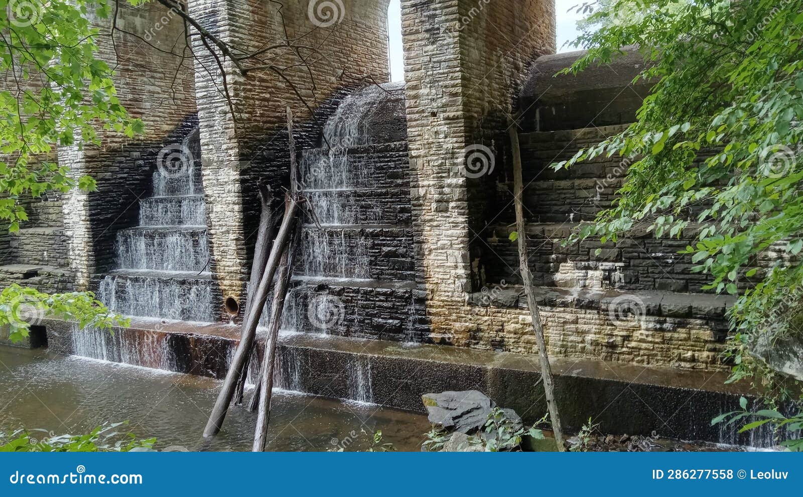 Waterfall Down Trees Plants Water Stock Photo - Image of water, plants ...