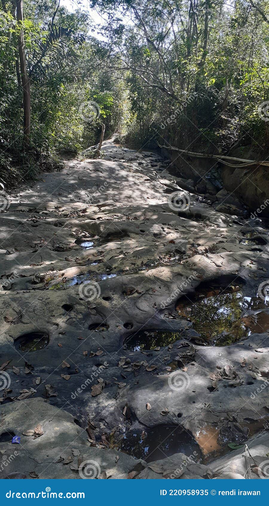 Waterfall that dried away stock image. Image of plant - 220958935