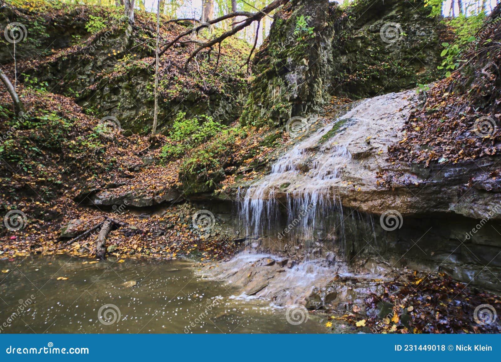 Waterfall Dripping Down Slope into Muddy Water with Fall Leaves and ...