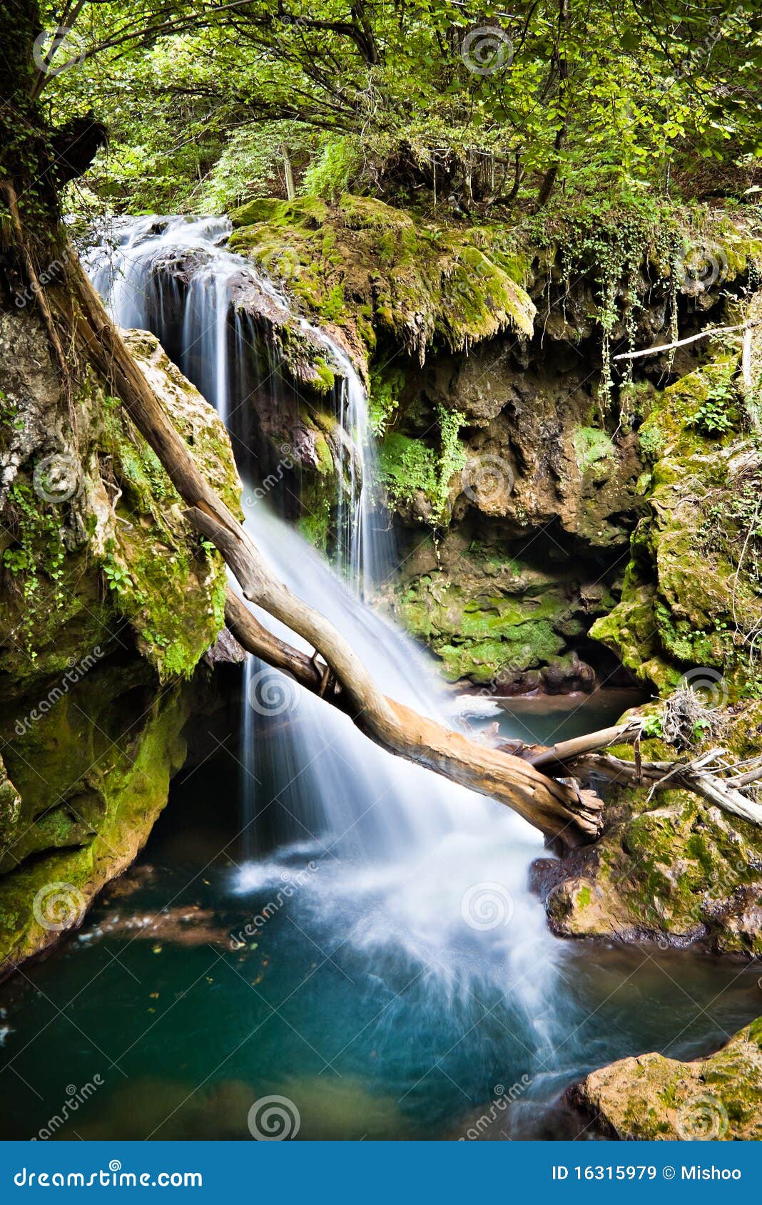 Waterfall and dry tree stock image. Image of scenery - 16315979