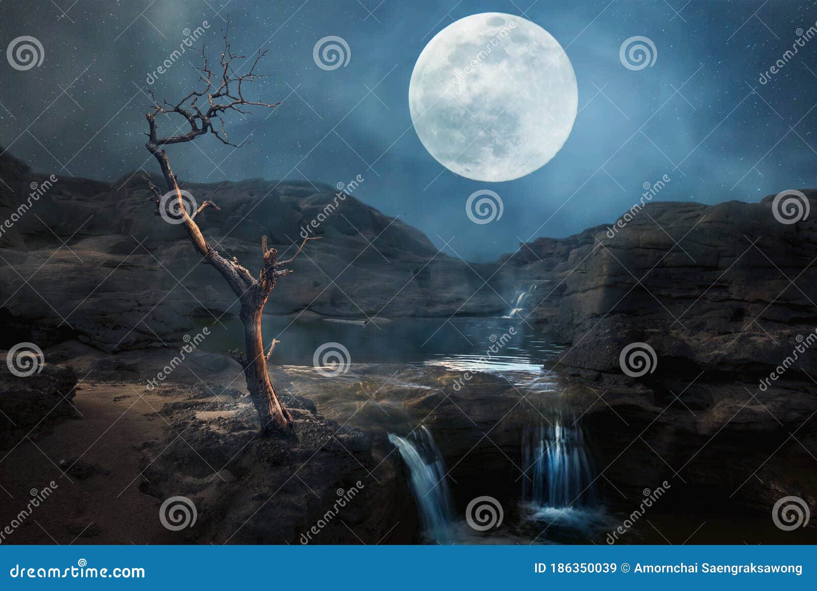 Waterfall with Dry Tree in Night of Full Moon Stock Image - Image of ...