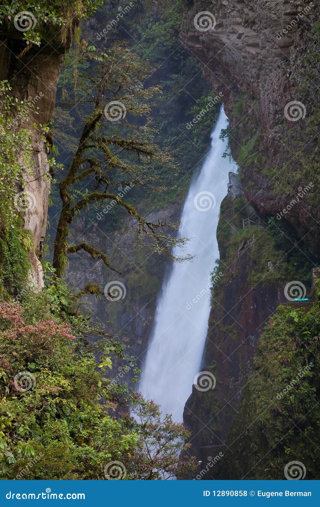 Waterfall in Ecuador stock photo. Image of river, ecuador - 12890858