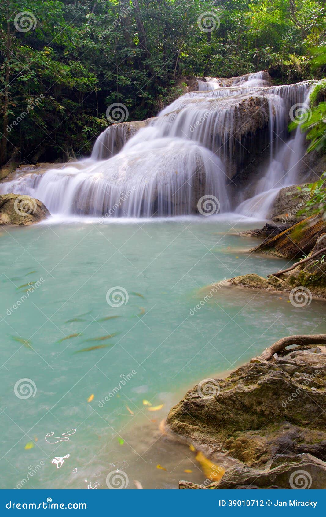 Waterfall in Erawan National Park with Fish Stock Photo - Image of ...