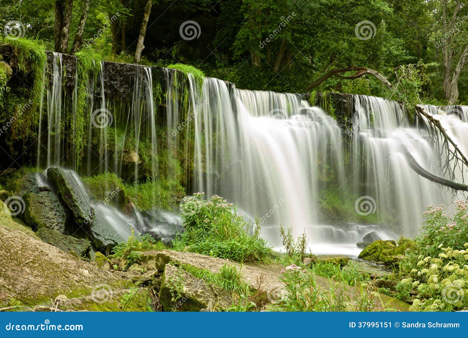 Waterfall in Estonia stock image. Image of summer, rock - 37995151