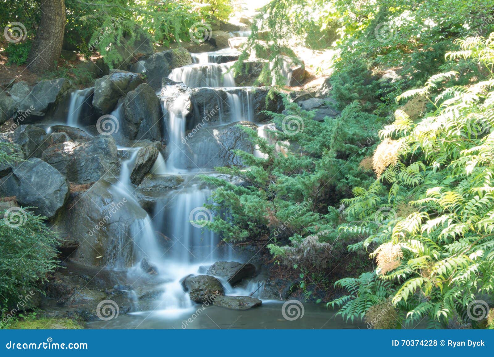 Waterfall - exhibit stock photo. Image of vandusen, pink - 70374228