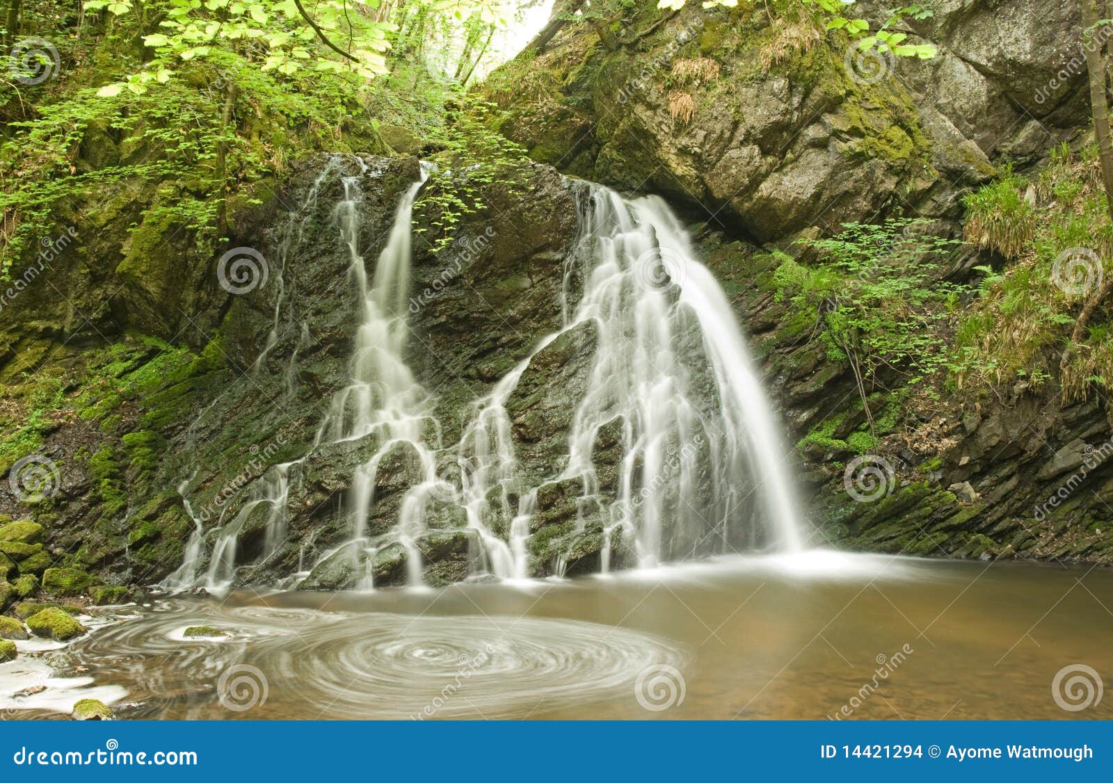 Waterfall In Fairy Glen Falls, Rosemarkie, Fortrose, Highlands, Scoland ...