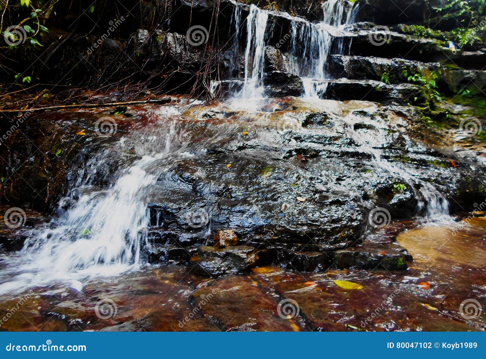 Waterfall stock photo. Image of luminous, pretty, life - 80047102