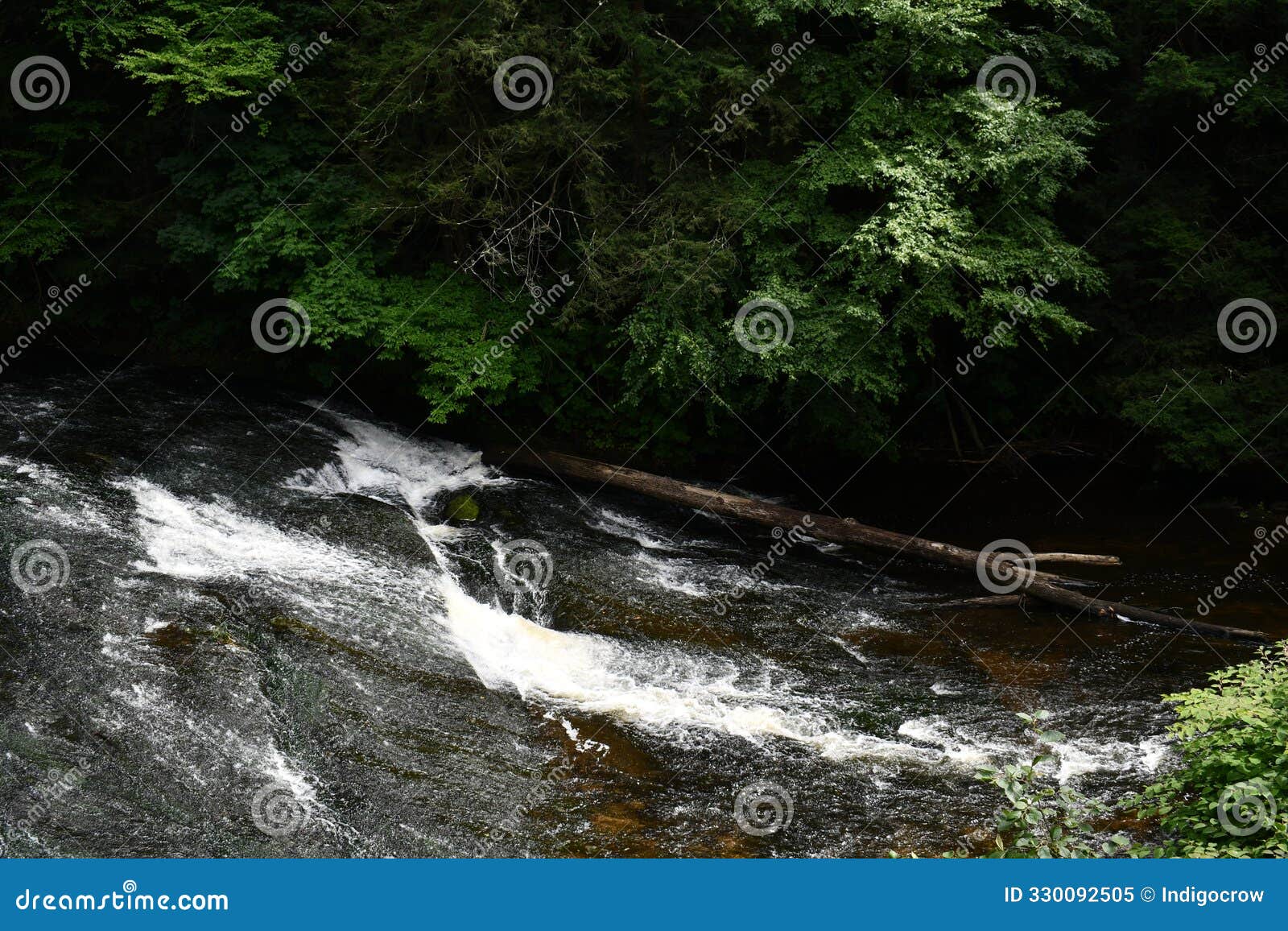 Waterfall and Fallen Tree stock image. Image of leaf - 330092505