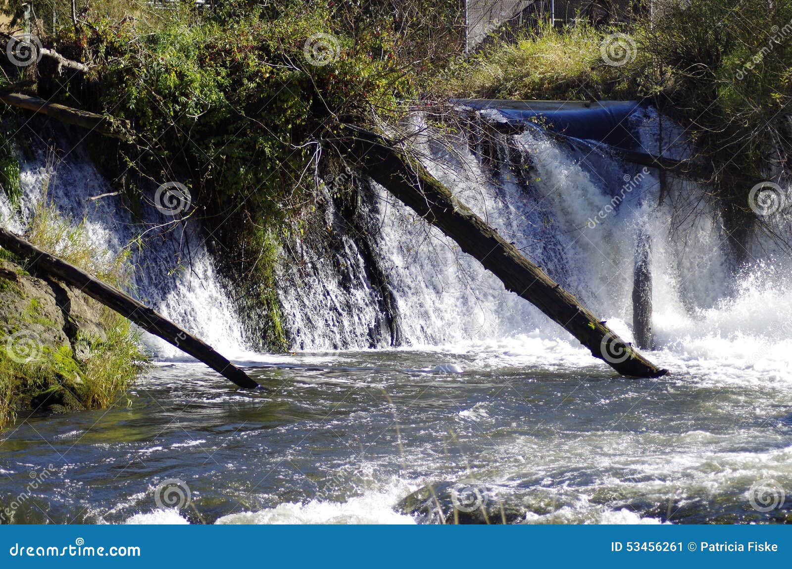 Waterfall with Fallen Trees Across it Stock Image - Image of trees ...