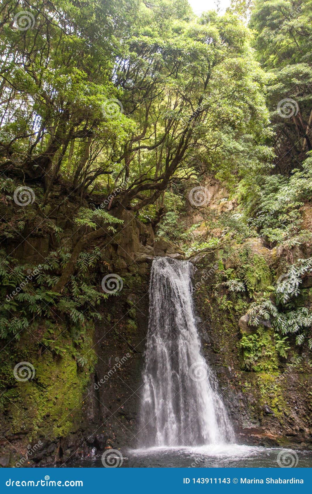 Waterfall Falling from the Cliff Dotted with Thick Shoots Stock Image ...