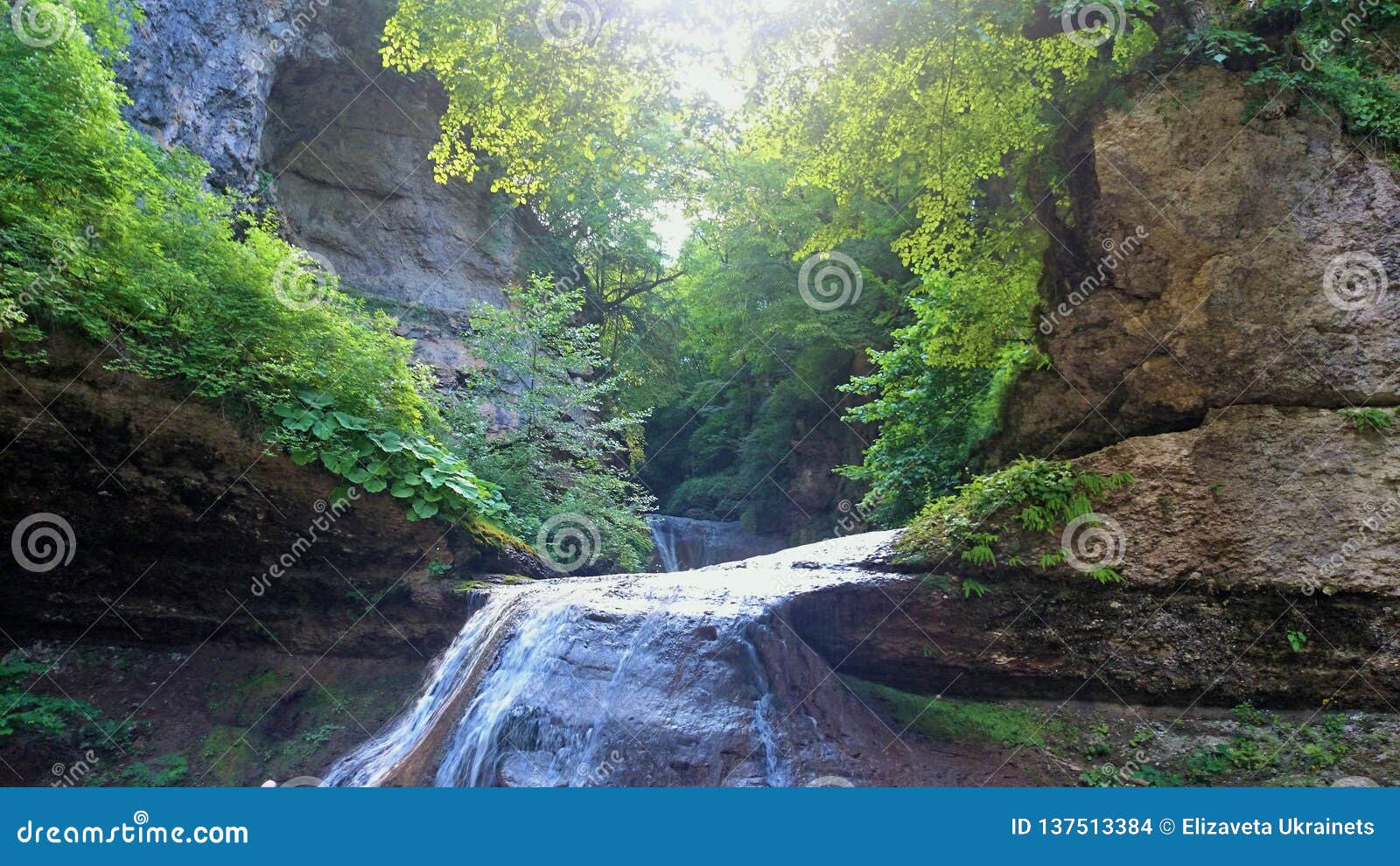 A step in water stock photo. Image of herbs, cliff, mountains - 137513384