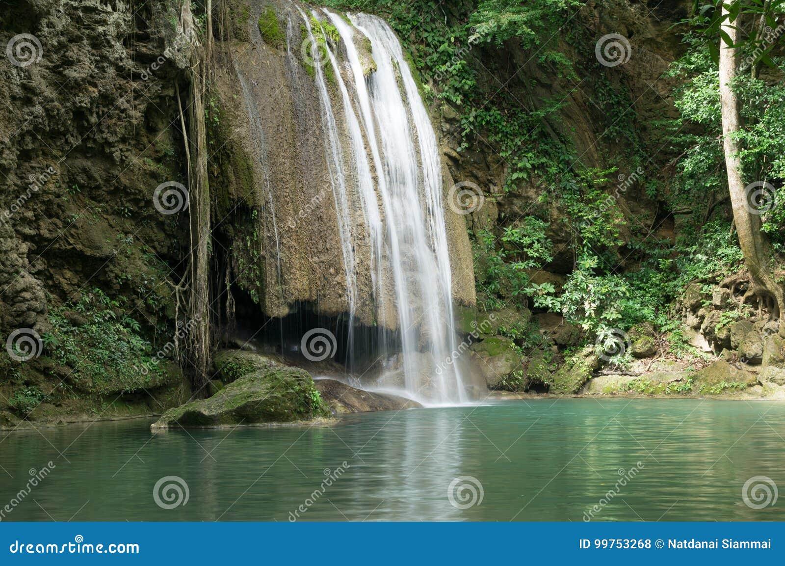 Waterfall with fish stock photo. Image of jungle, stream - 99753268