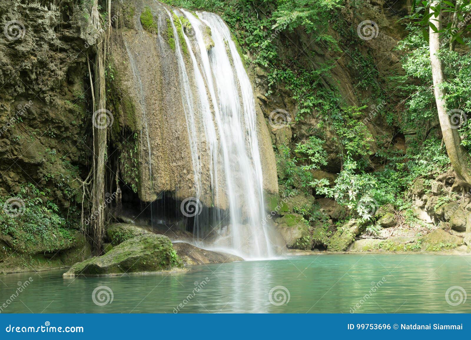 Waterfall with fish stock photo. Image of forest, fresh - 99753696