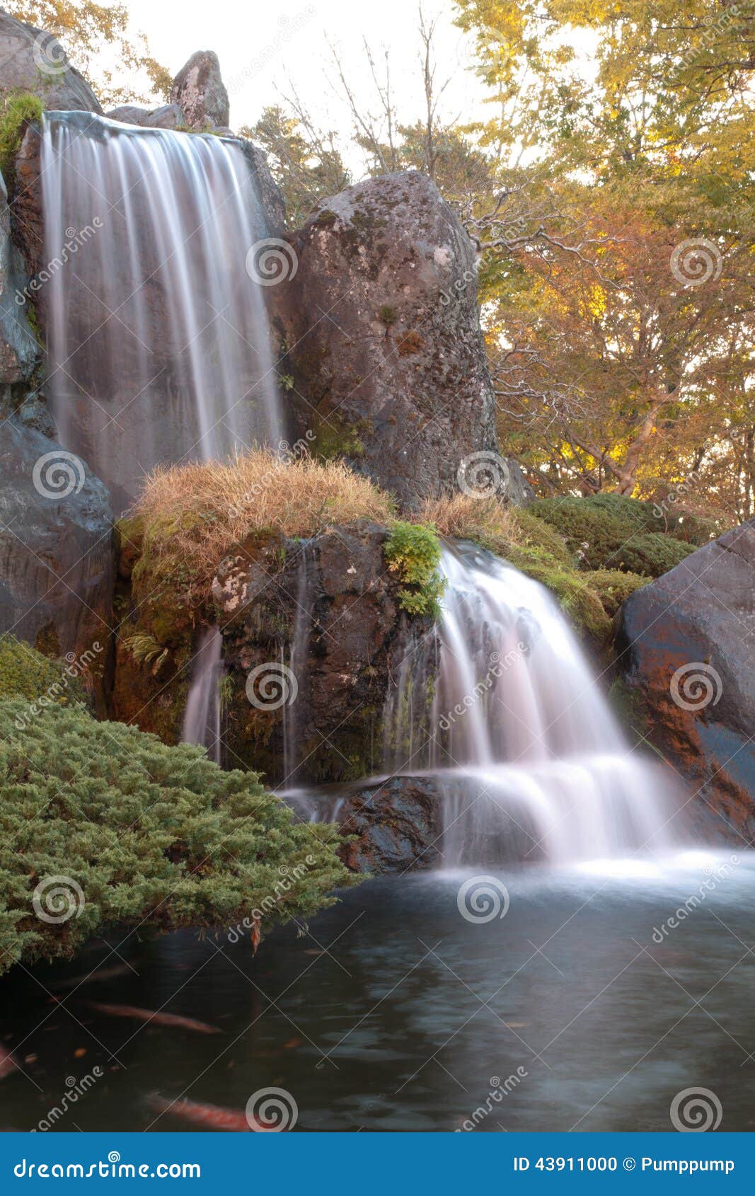 Waterfall and fish stock photo. Image of beauty, rill - 43911000