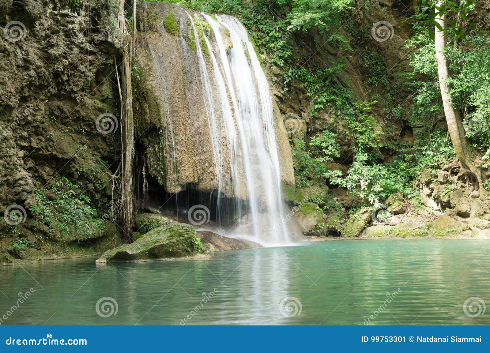 Waterfall with fish stock image. Image of fall, scenic - 99753301