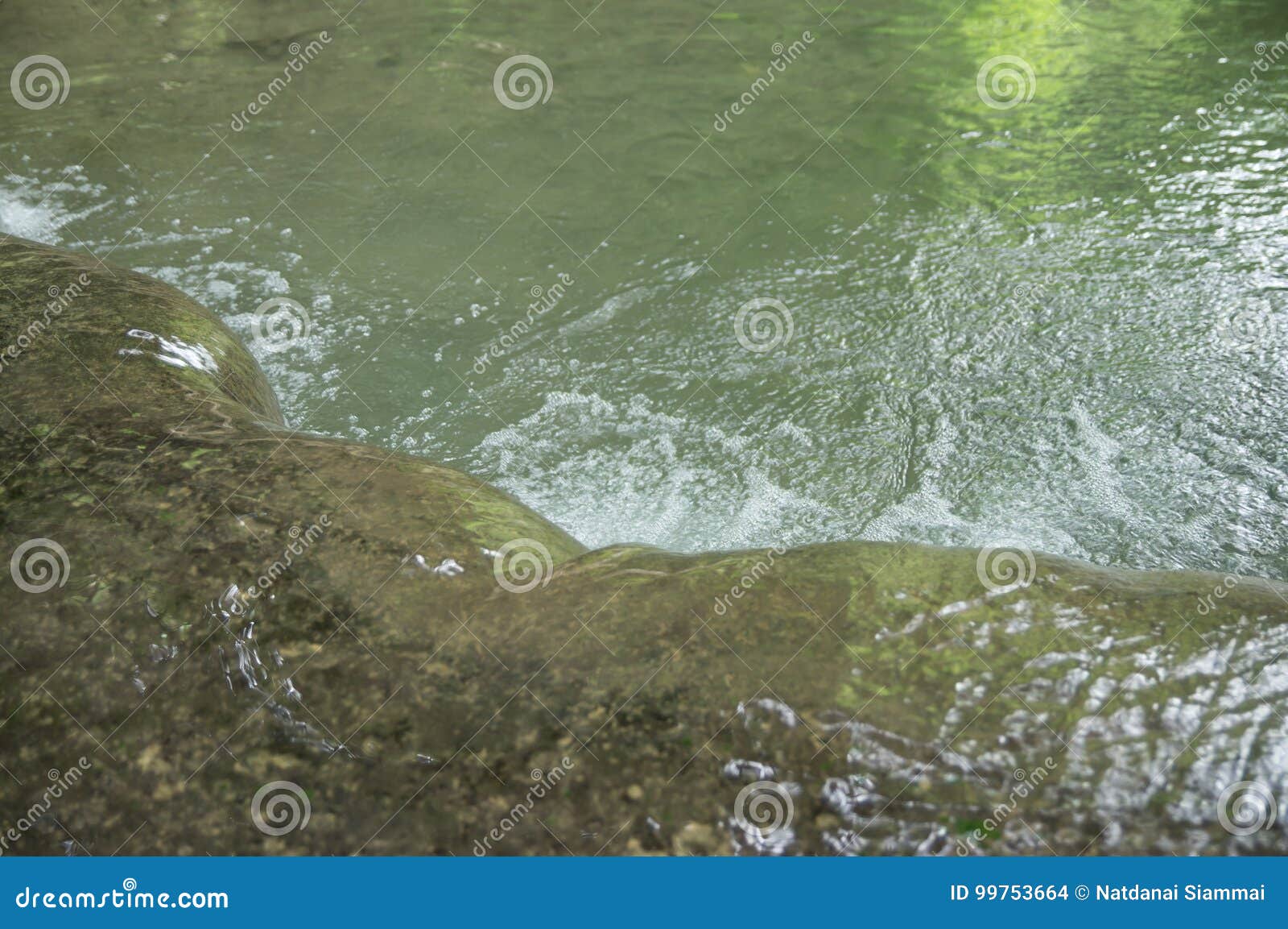 Waterfall with fish stock photo. Image of stream, spring - 99753664
