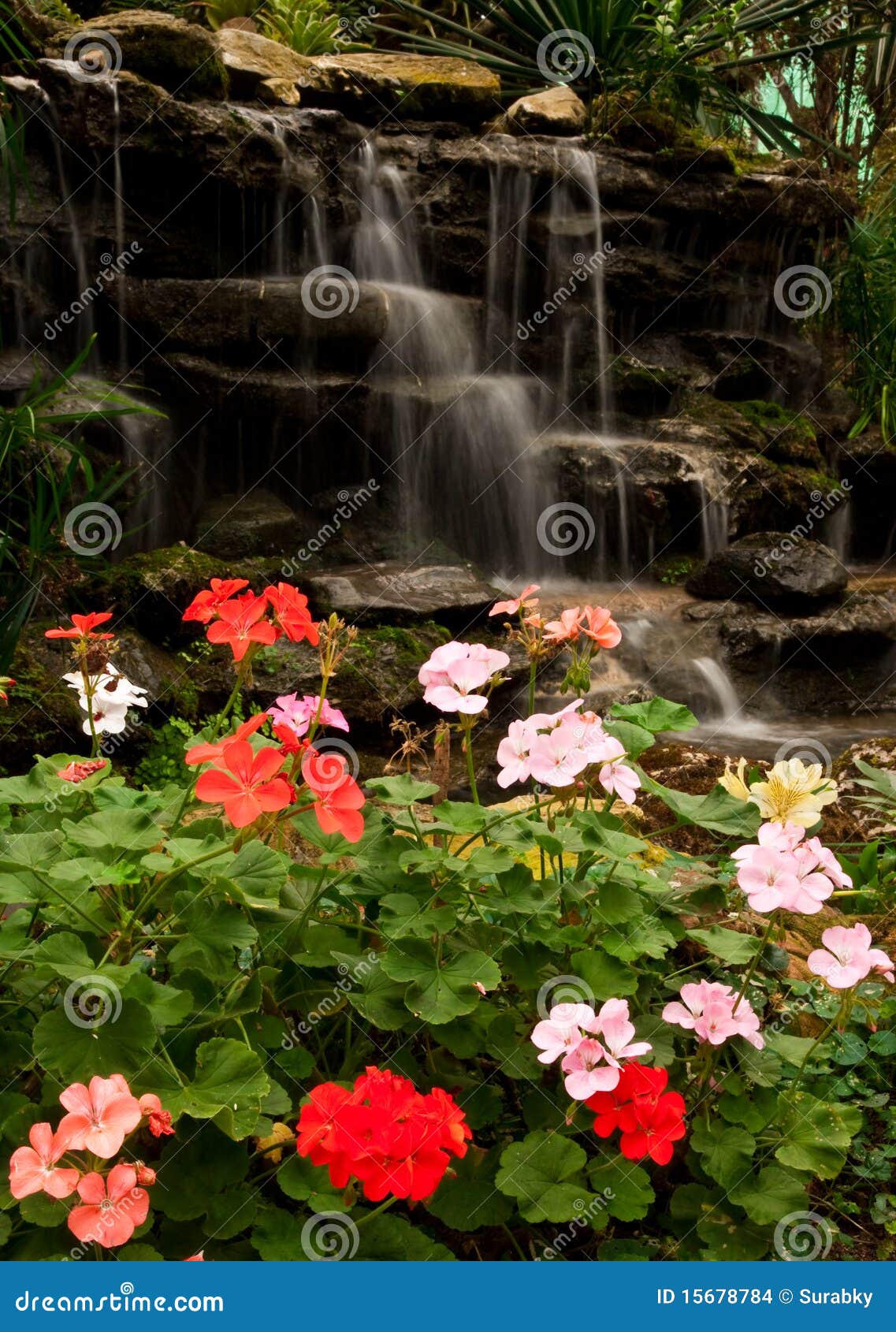Waterfall and flower stock photo. Image of foreground - 15678784