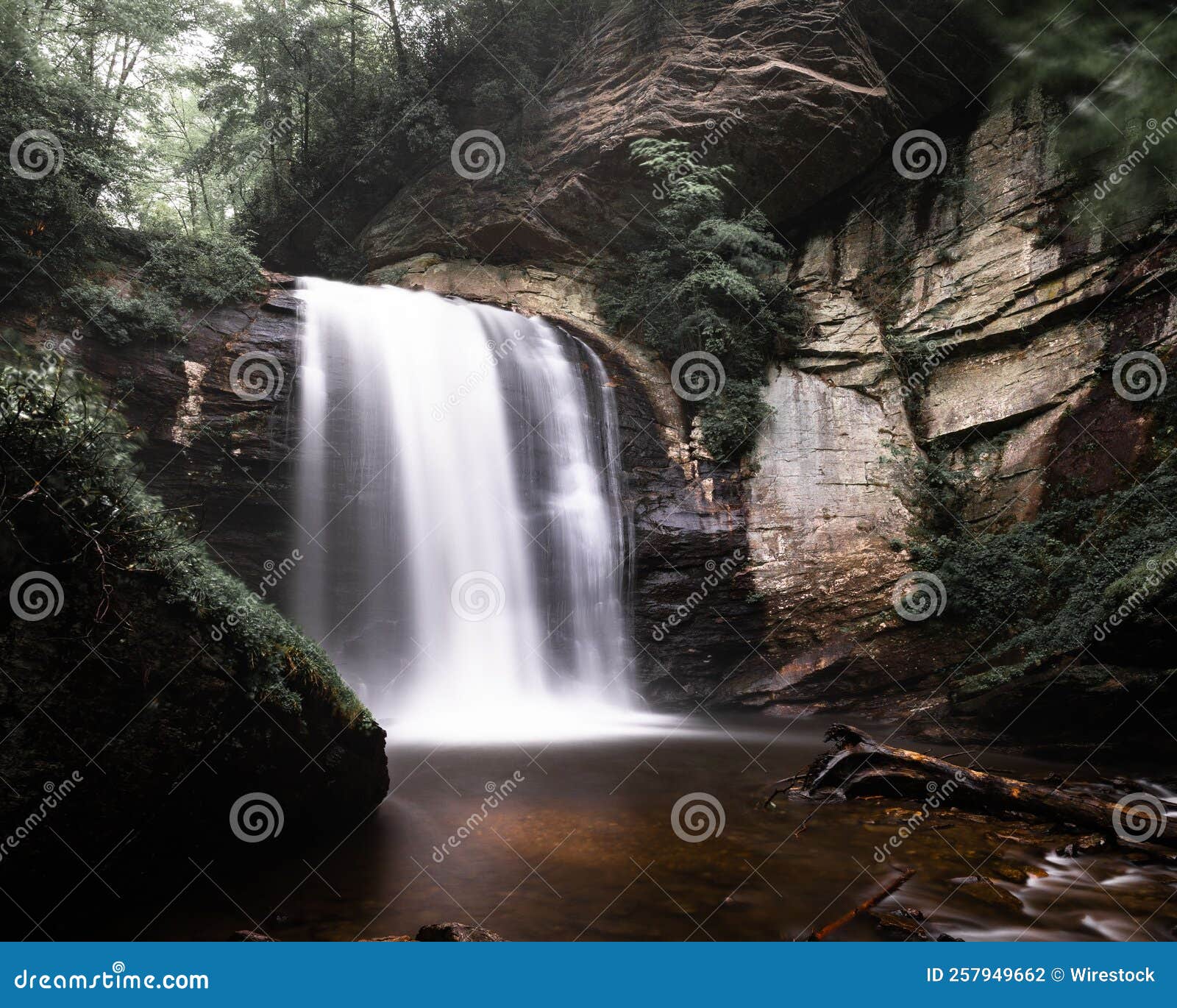 Waterfall Flowing from Cliffs in a Forest Stock Photo - Image of river ...