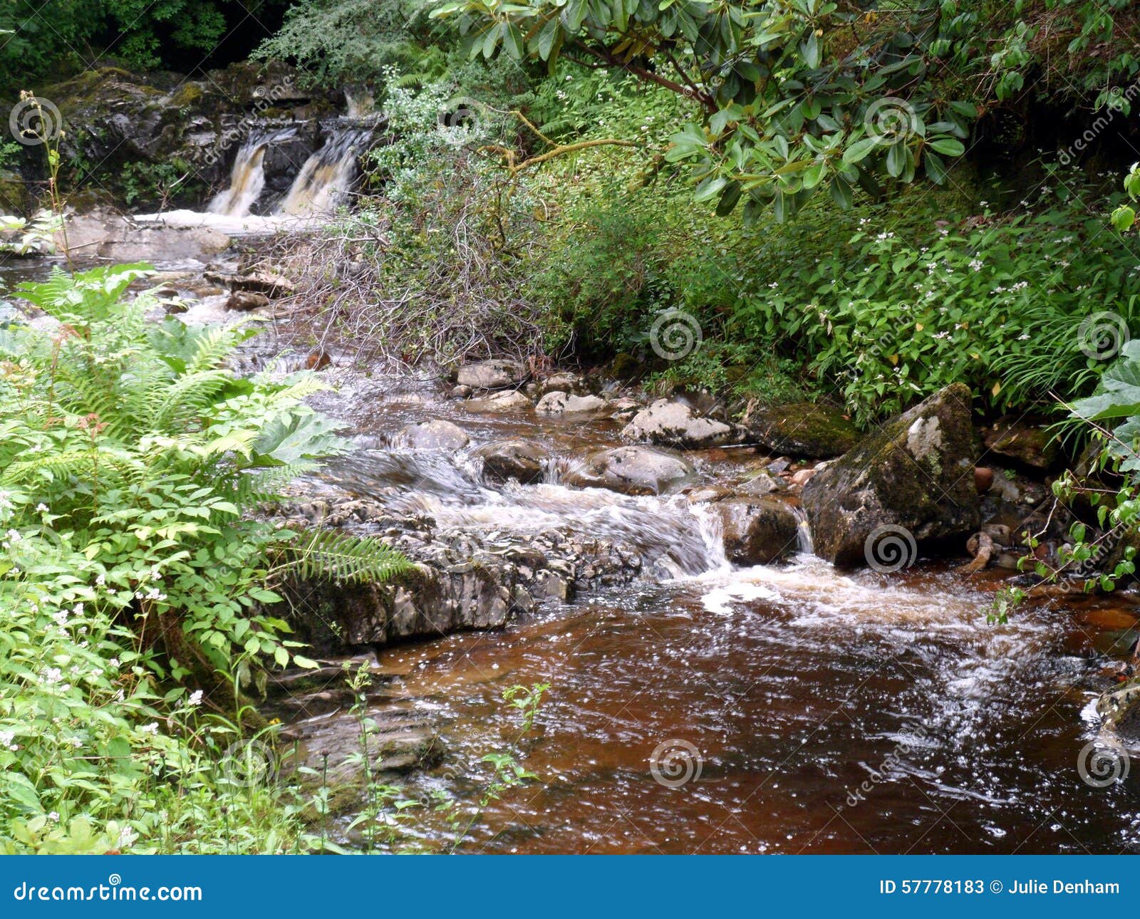 Waterfall Flowing Downstream Stock Image - Image of rocks, scotland ...