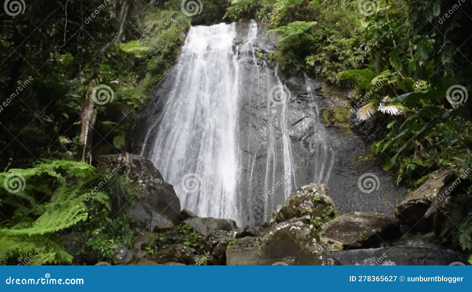 Waterfall in Puerto Rico Rainforest Stock Video - Video of rock ...
