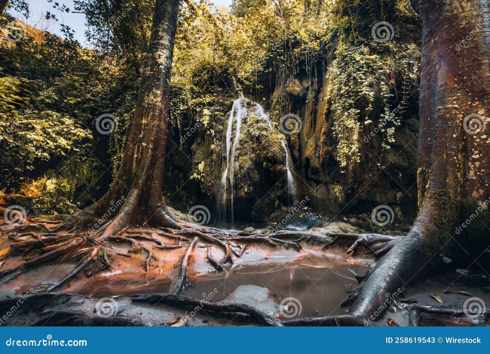 Waterfall Flowing from Rocks Surrounded by Dense Trees Stock Image ...