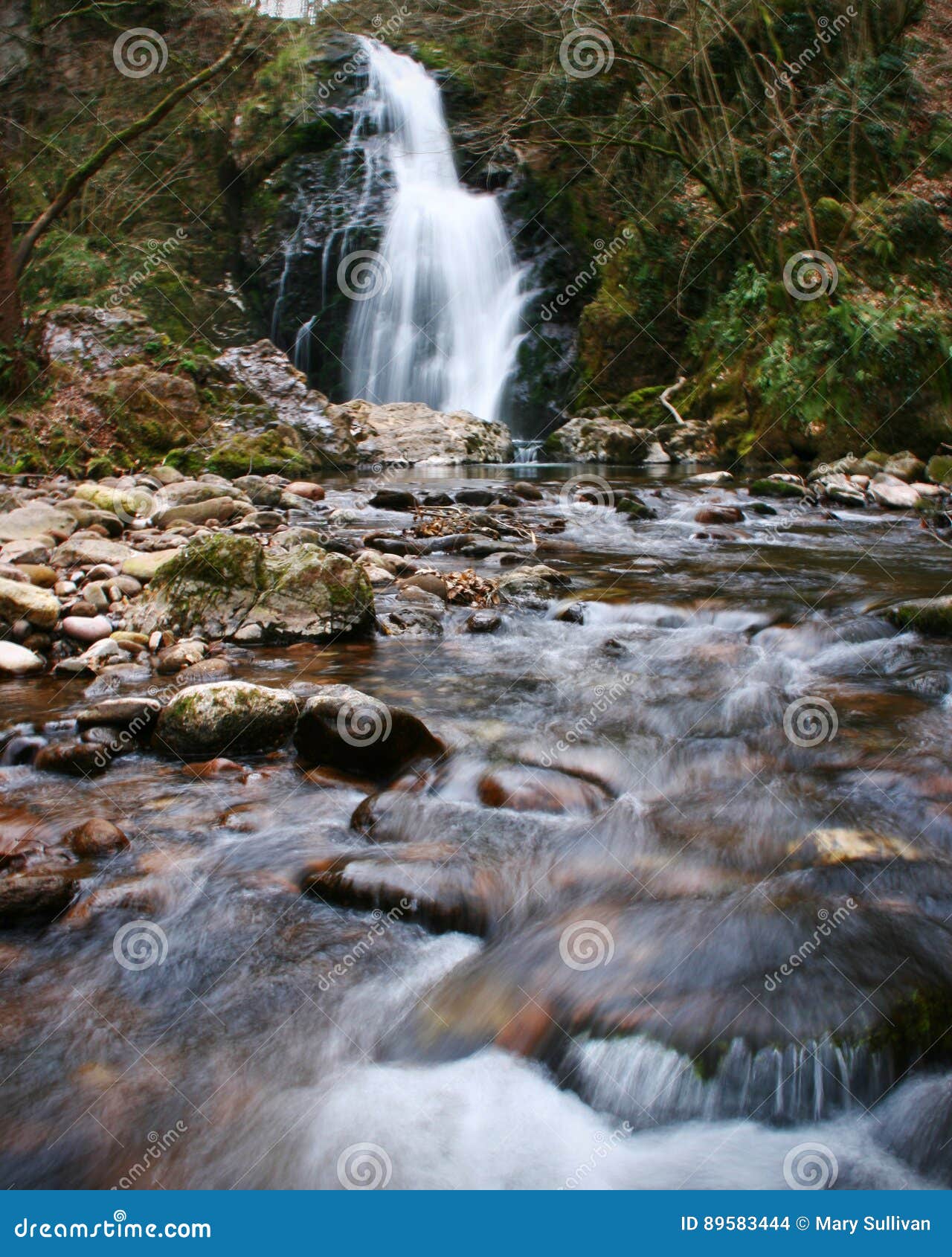 Waterfall with Flowing Water Over Rocks in a Forest Stock Photo - Image ...