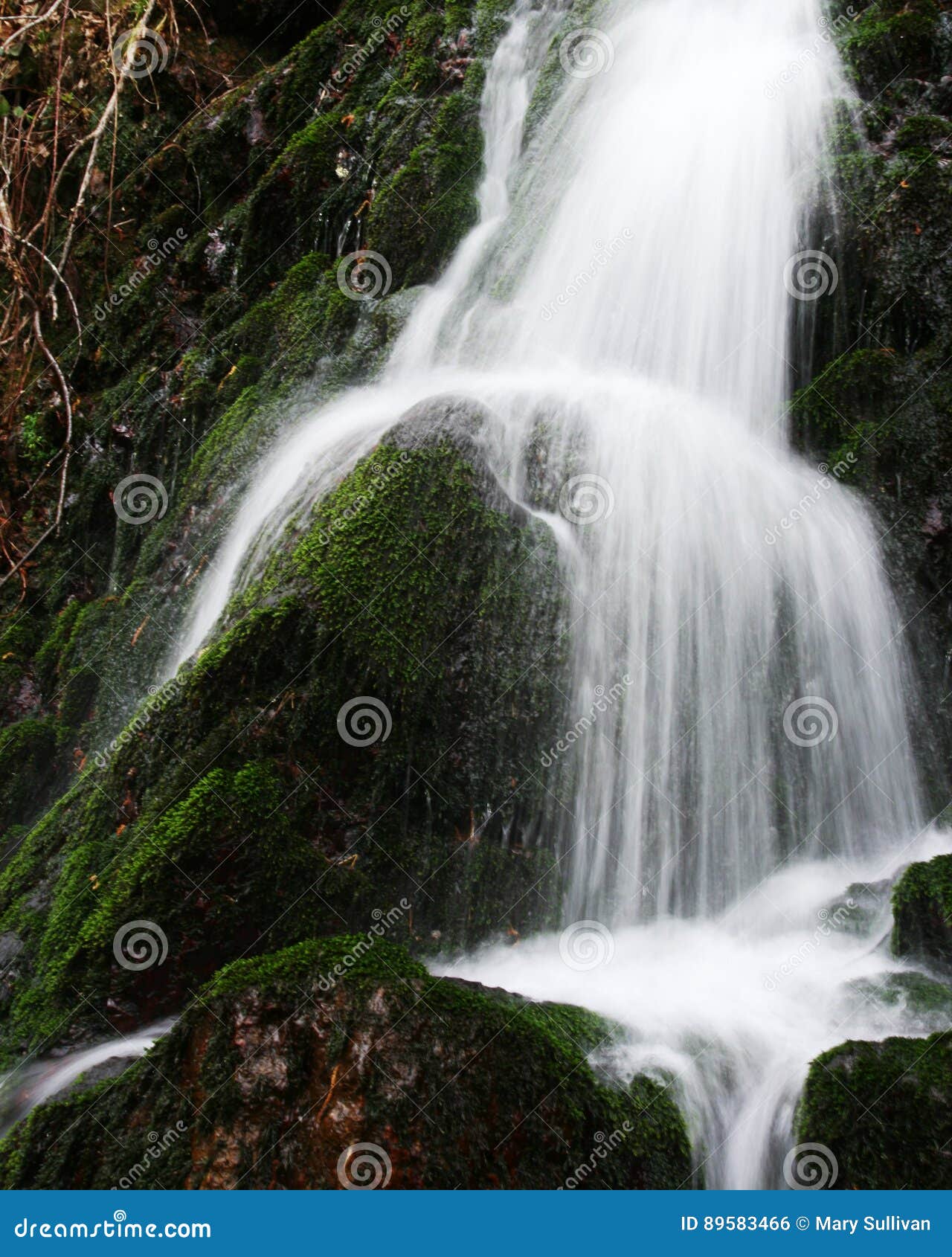 Waterfall with Flowing Water Over Rocks in a Forest Stock Photo - Image ...