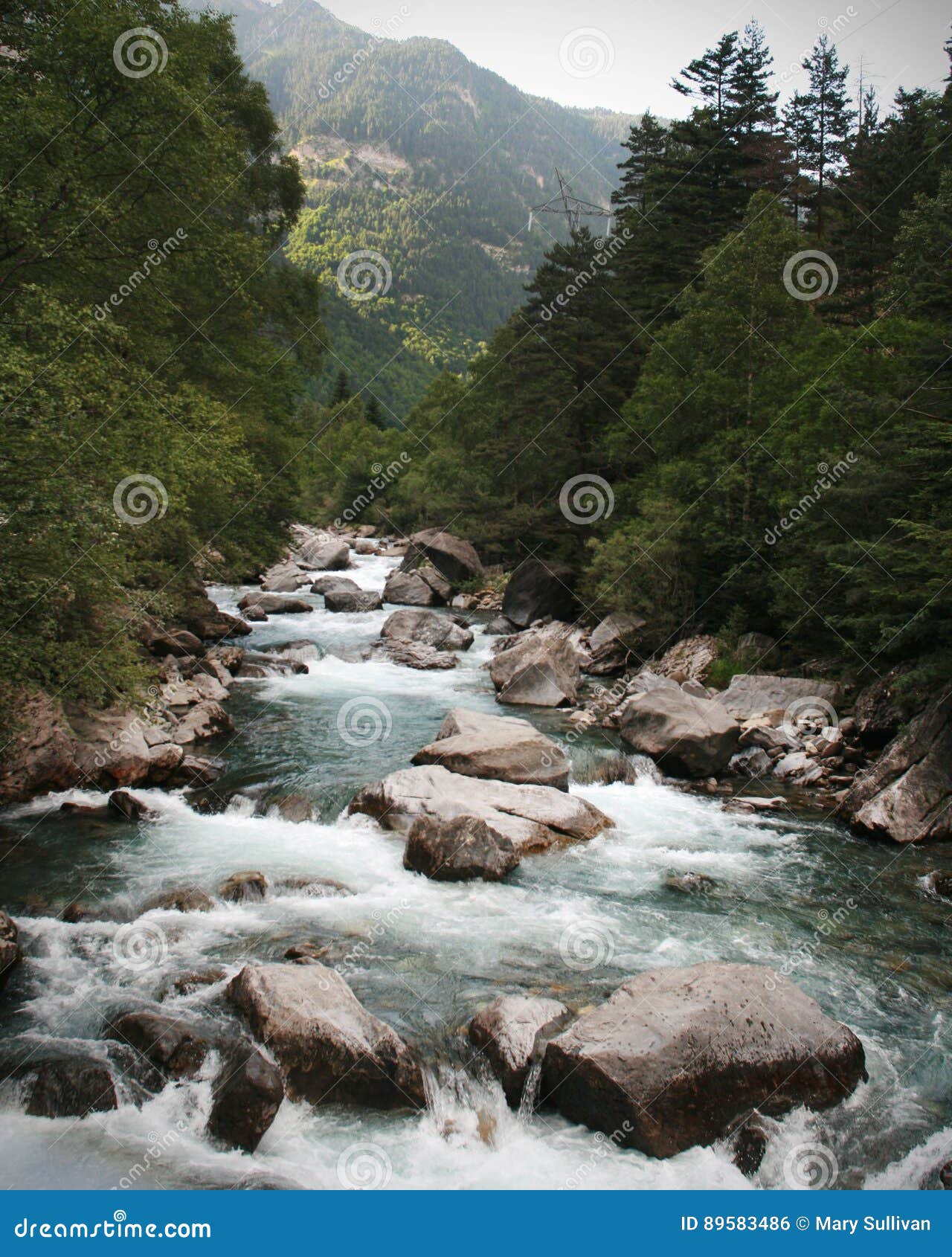 Waterfall with Flowing Water Over Rocks in a Forest Stock Photo - Image ...