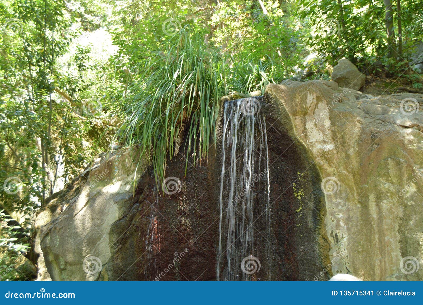 The Waterfall Flows Down from the Stones Overgrown with Plants in the ...
