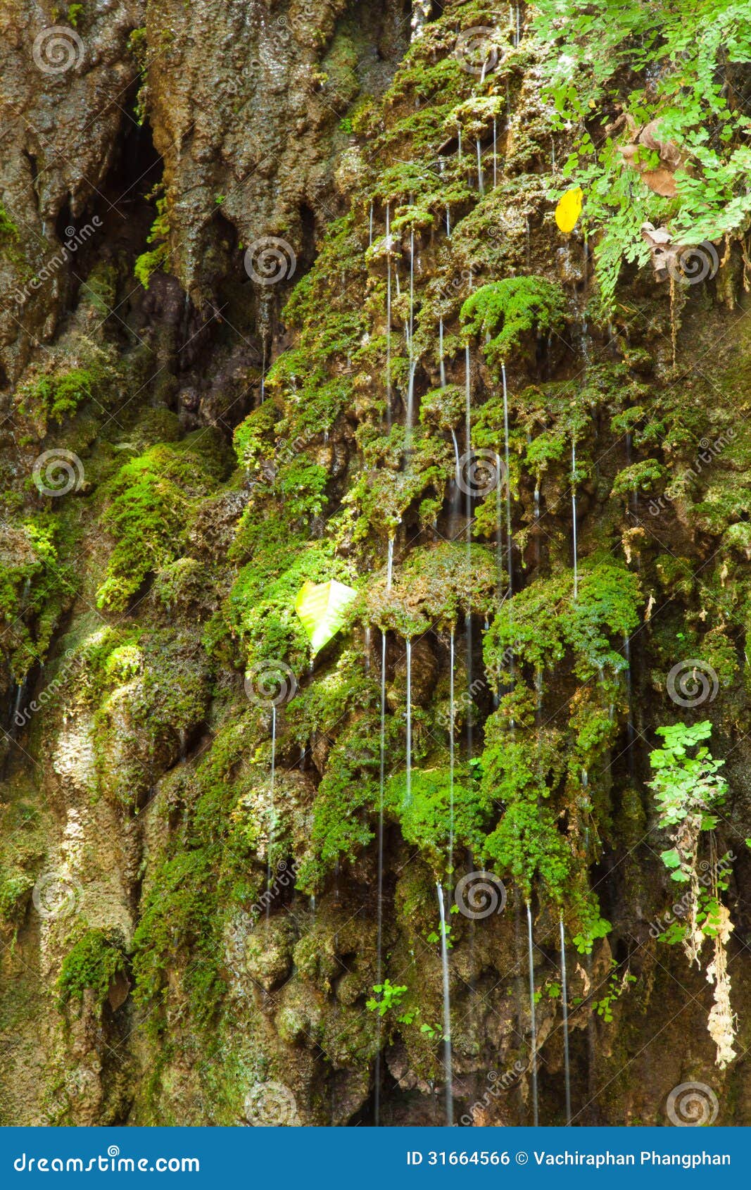 Waterfall that Flows Over the Cliff. Stock Photo - Image of natural ...
