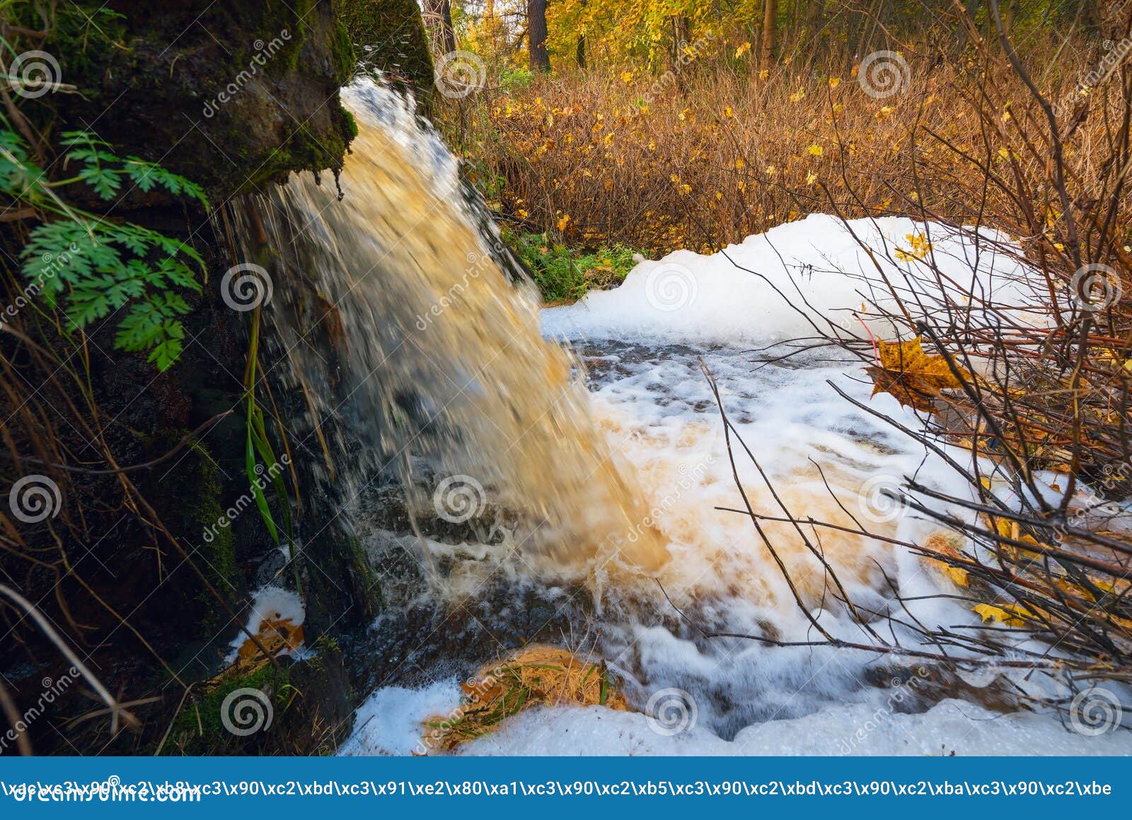 The Waterfall Foaming Out of the Pond in the Fall. Stock Photo - Image ...