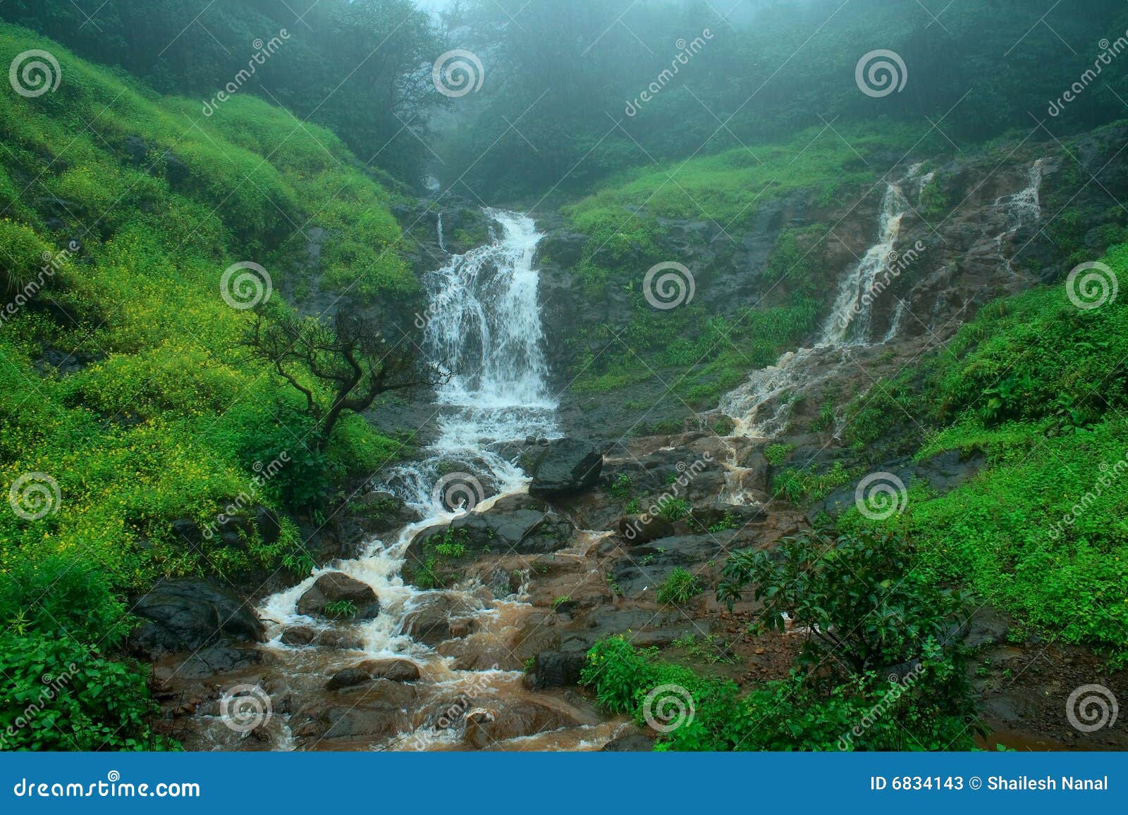 Waterfall in fog stock image. Image of beautiful, color - 6834143