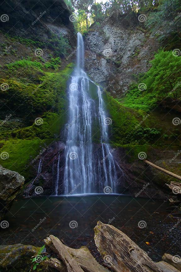 Waterfall in the forest stock image. Image of rain, lush - 1179853