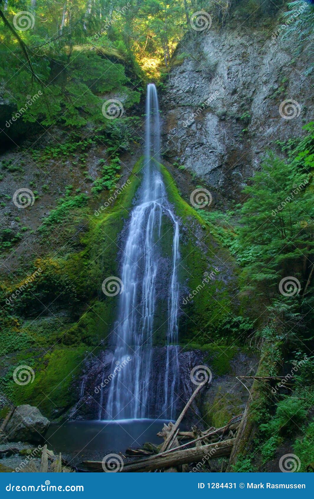 Waterfall in the forest stock image. Image of water, brook - 1284431