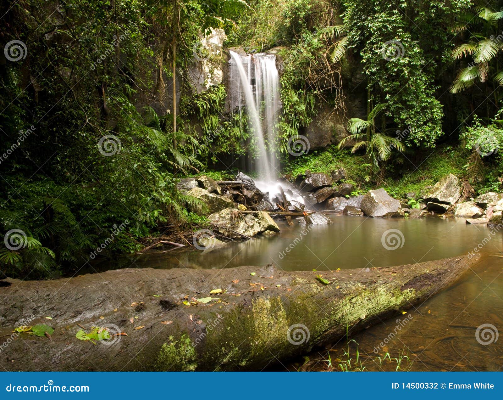 Waterfall in the Forest stock photo. Image of ridge, streaming - 14500332